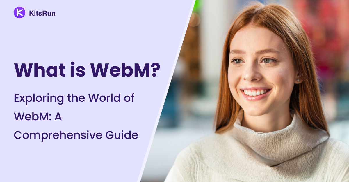 WebM이란 무엇입니까? - WebM의 환상적인 세계를 탐험해보세요